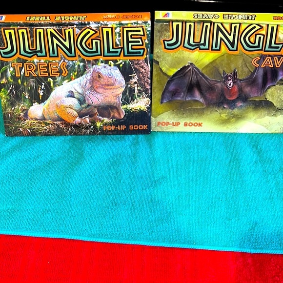 Other | Jungle Caves And Jungle Trees Pop Up Books | Poshmark